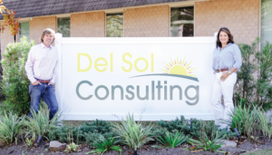 Home - Del Sol Consulting